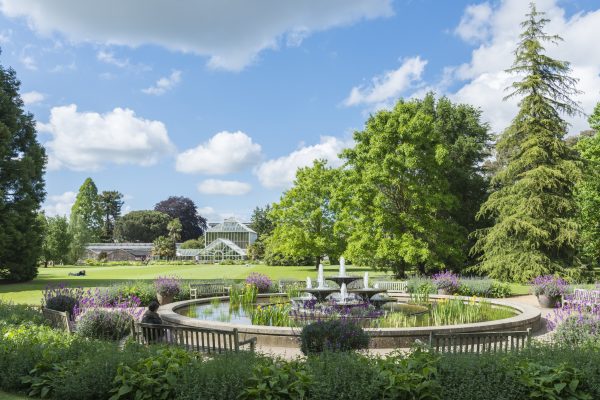 Welcome to Cambridge University Botanic Garden - Find Out More