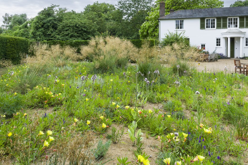 Right plant, right place: Gardening for a changing climate - Cambridge ...